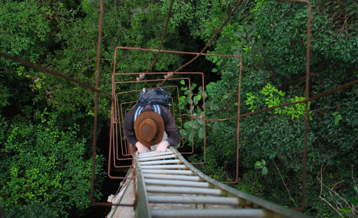 Wallace Line: A Biogeographical Boundary of Biodiversity - Borneo ...