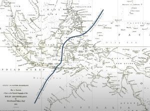 Wallace Line: A Biogeographical Boundary of Biodiversity - Borneo ...