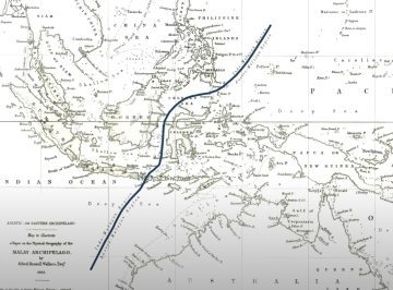 Wallace Line: A Biogeographical Boundary of Biodiversity - Borneo ...