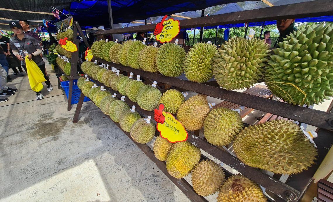 Nusantara: Indonesia’s New Capital Takes Center Stage - Borneo Geographic